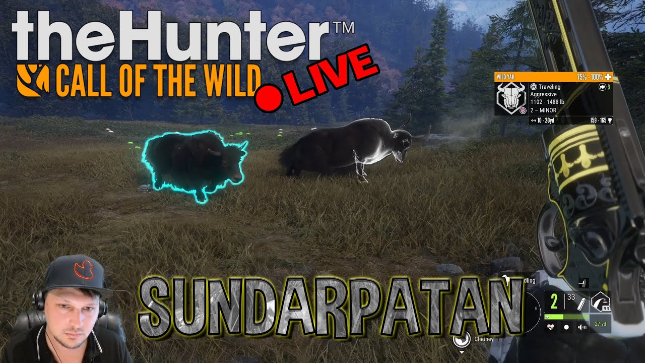 Diamond Yak Hunt! Redemption Needed! | theHunter: Call of the Wild # ...