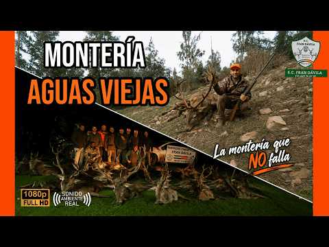 LA MONTERÍA QUE NO FALLA | AGUAS VIEJAS 2026 | SC FRAN DAVILA #318