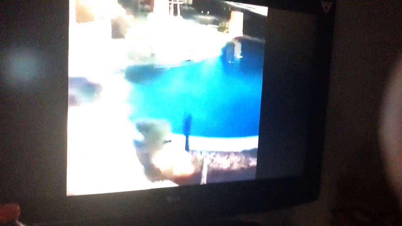 random video that will be viral.mp4 - YouTube