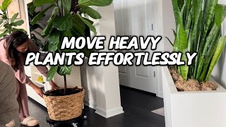 Roll Your Plants Anywhere: The Heavy-Duty Adjustable Plant Caddy You Need!