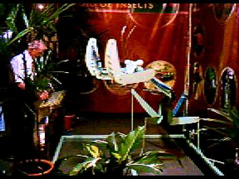 Praying Mantis Robot - YouTube