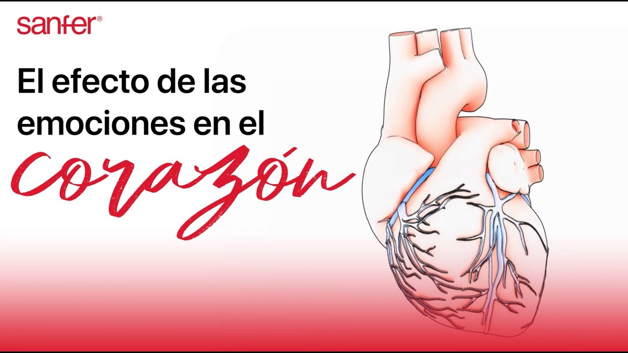 El efecto de las emociones en el corazón - YouTube