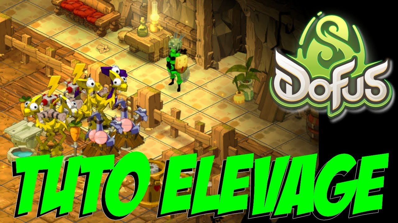 DOFUS 3 - TUTO ELEVAGE ENCLOS PUBLIC ET PRIVÉE 2025 - YouTube