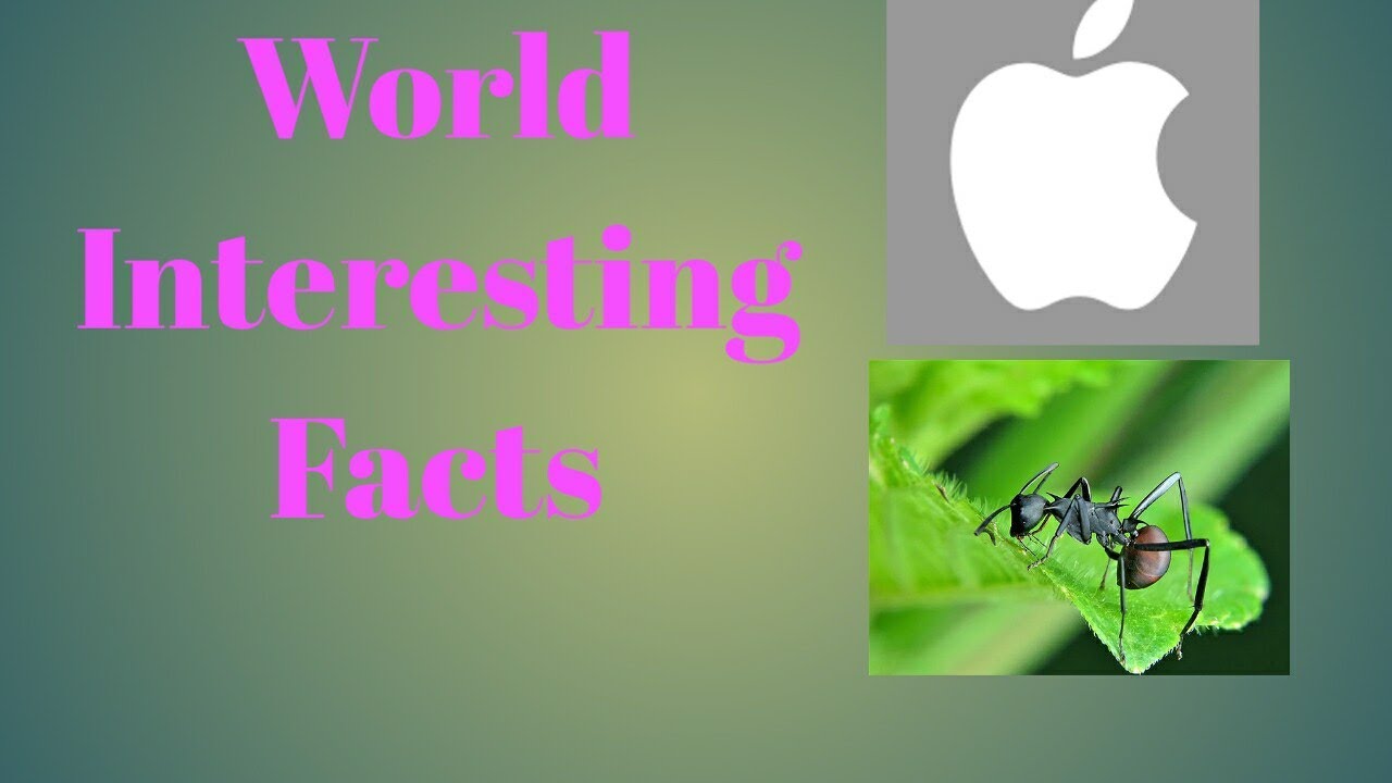 World Interesting Facts YouTube world-interesting-facts-youtube