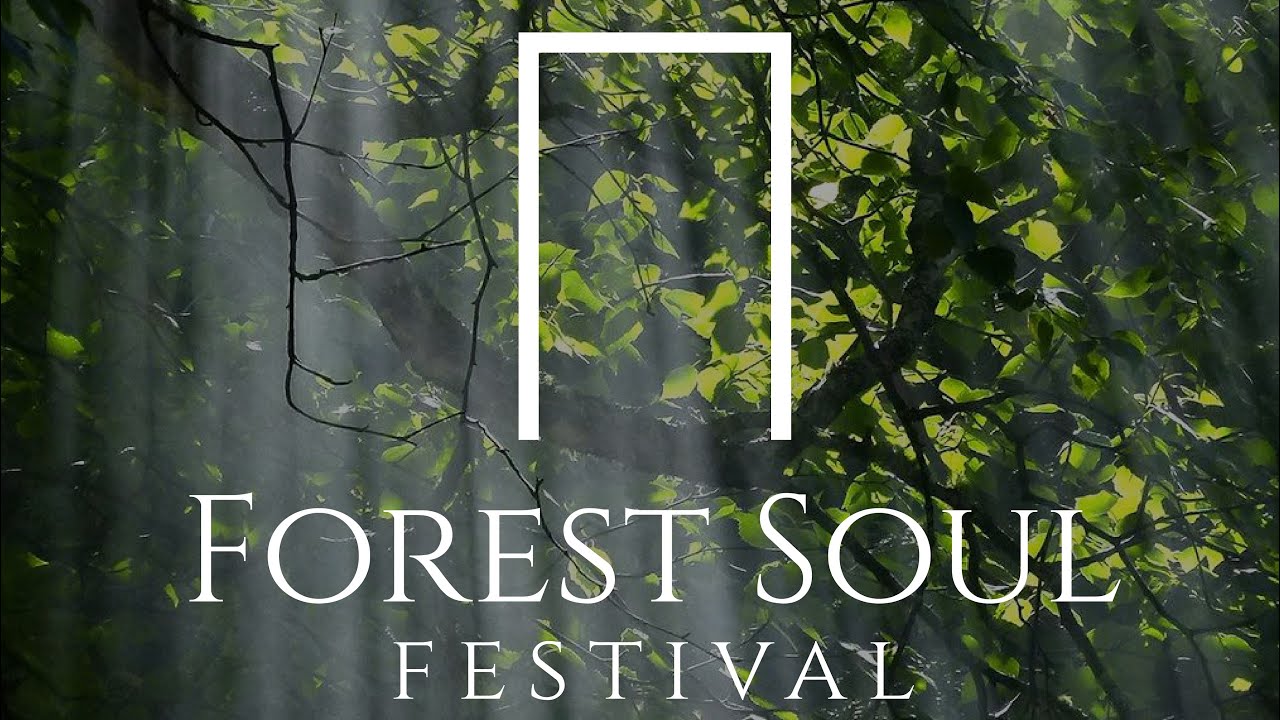 Forest Soul/ San José del Pacífico, Oaxaca. Edición I - YouTube