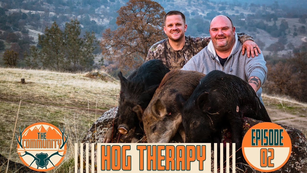 CRAZY WILD BOAR HUNT | Military Vets get 3 Pigs in 1 Evening! - YouTube