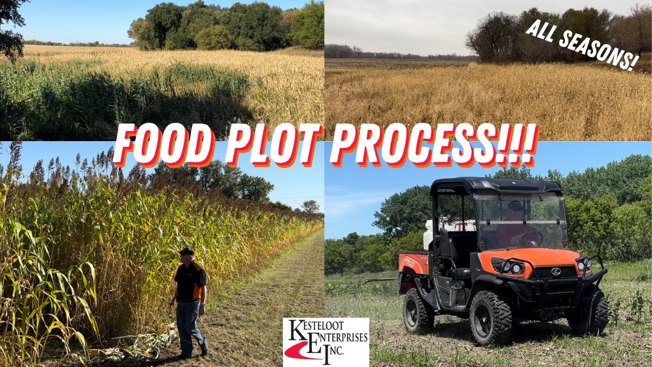 FOOD PLOT PROCESS! (Sorghum Milo, Corn) - YouTube