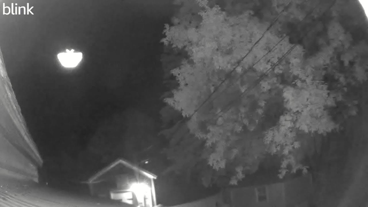 rod checking out camera half speed raw footage of skyfish or rods in ...