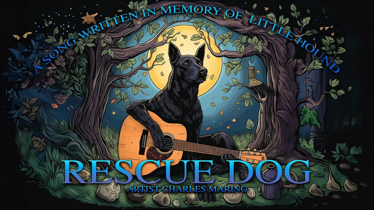 Rescue Dog New Music for Dog Lovers - YouTube