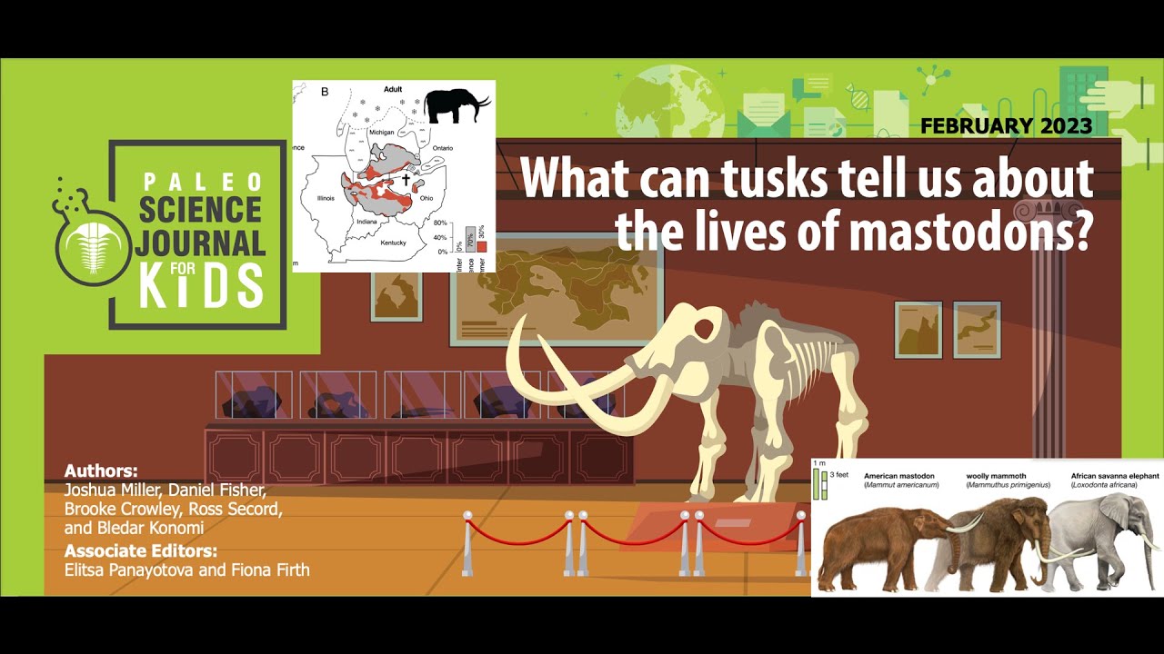 E75: What can tusks tell us about the lives of mastodons? [SJK Audio Edition] - YouTube