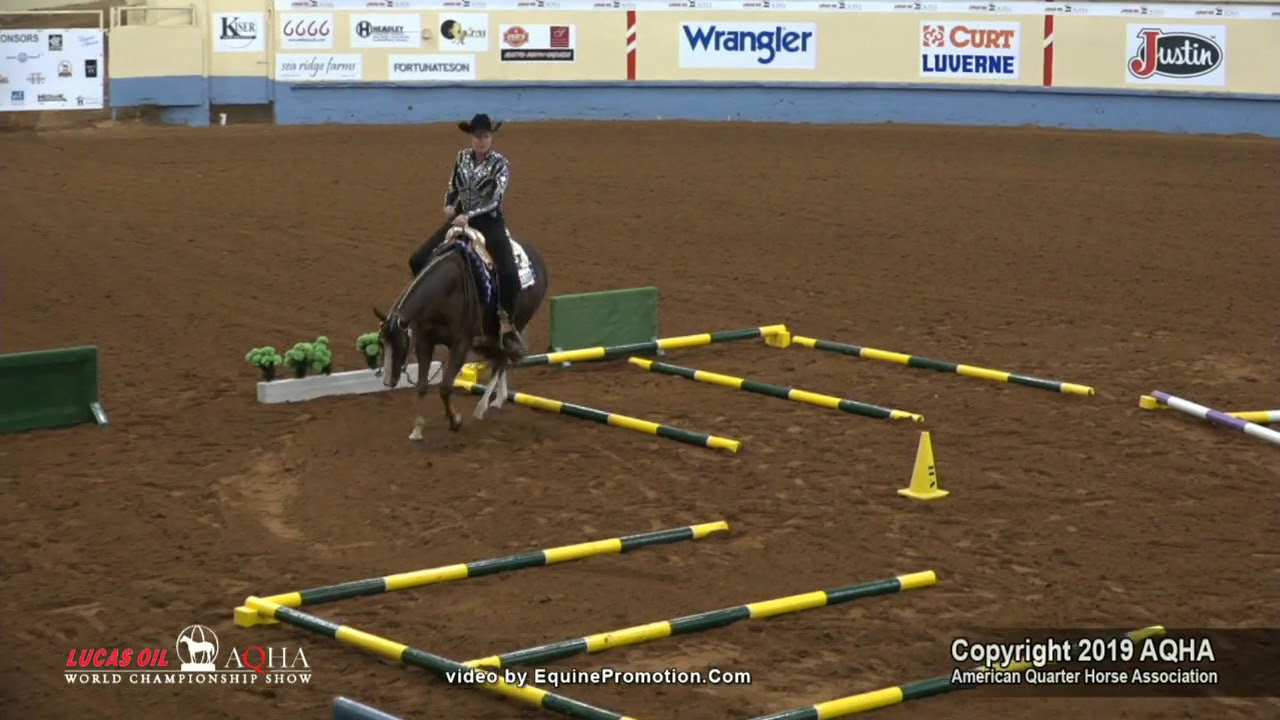 IM CALLIN DIBS shown by KELLIE HINELY 2019 AQHA World Show Trail, L1 ...