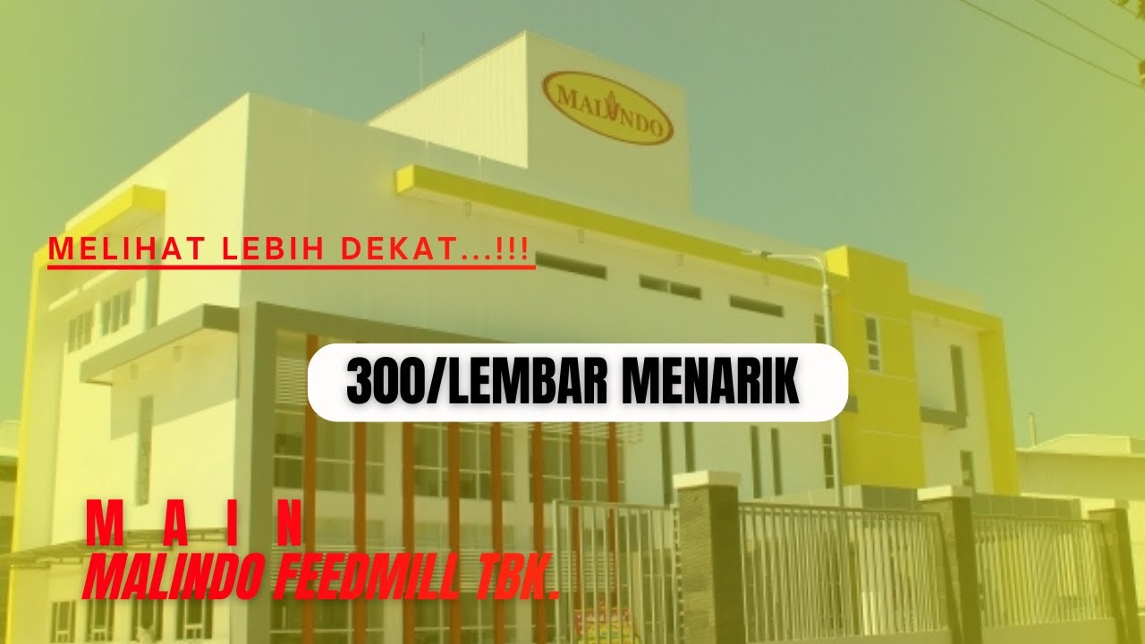 PERUSAHAAN MALINDO FEEDMILL TBK. (MAIN) | MELIHAT LEBIH DEKAT #part12 #main #ayam #saham - YouTube