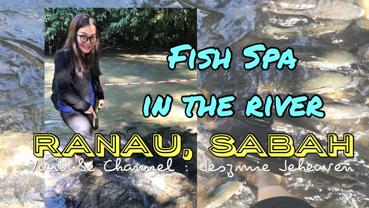 Fish Spa in Ranau Sabah - YouTube