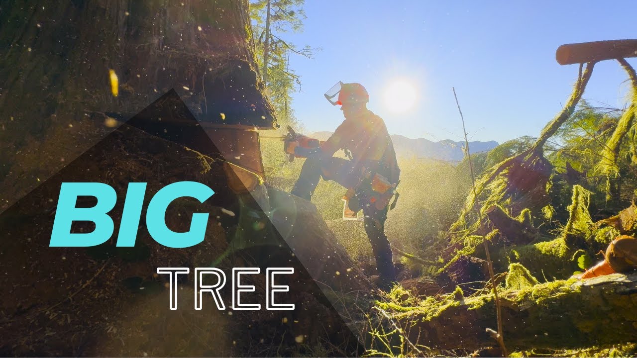 225. Finishing a Cutblock with a View - YouTube