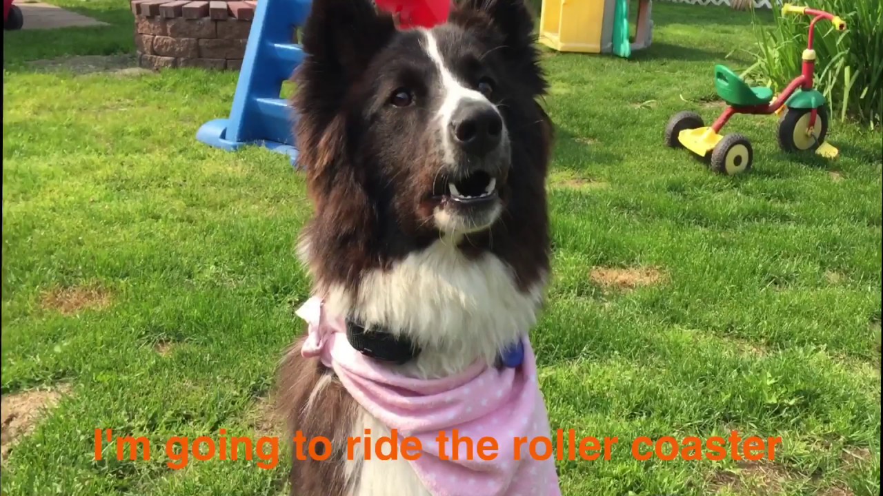 Roller Coaster Ad #1 (Uncut) - YouTube