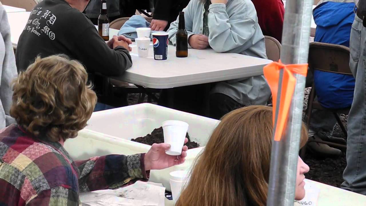 Worm Races in Alpine 1 - YouTube