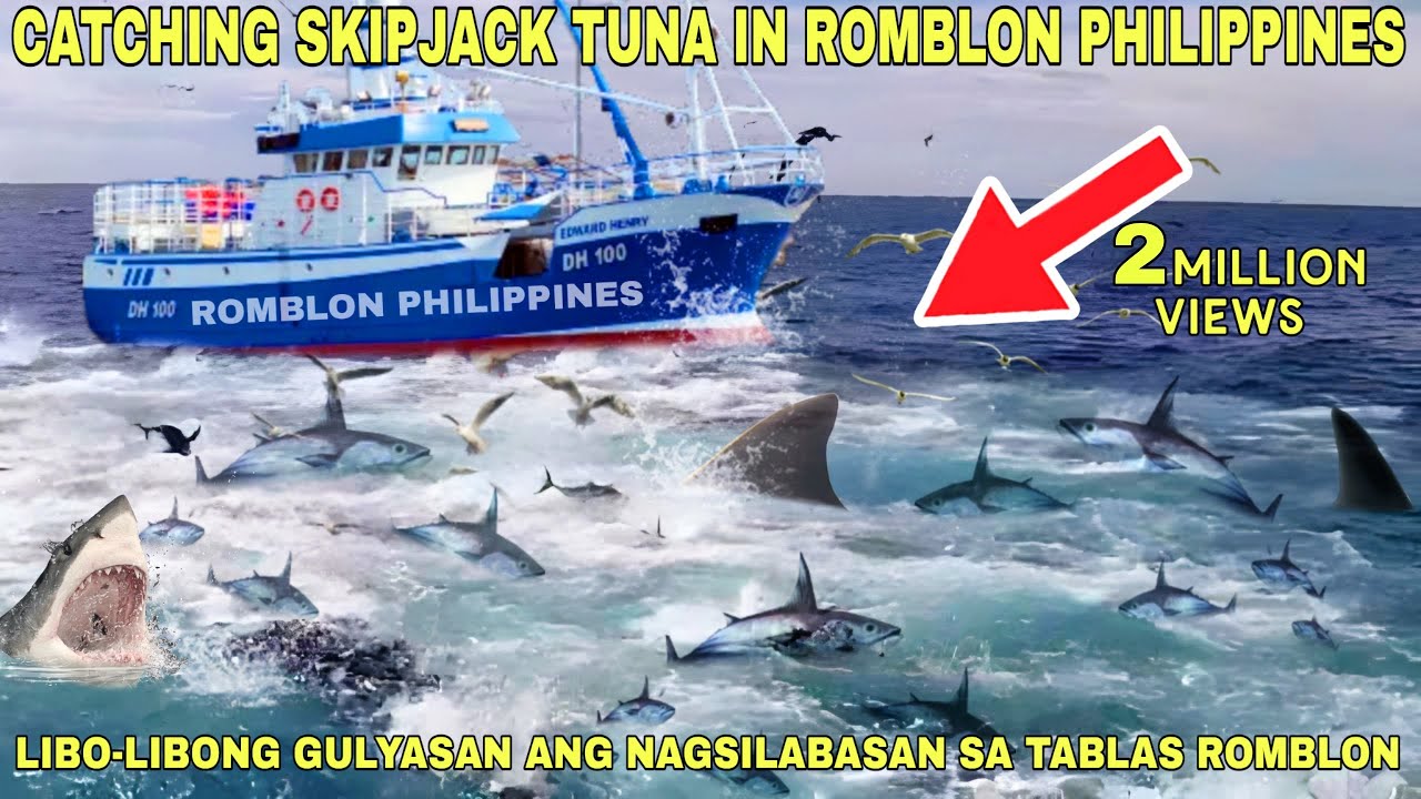 CATCHING SKIPJACK TUNA IN ROMBLON PHILIPPINES - KAWAN NG GULYASAN SA ...