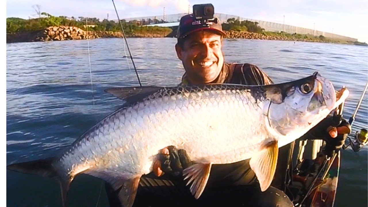 Sem dúvidas um dos PEIXES mais esportivos do mundo - Pescaria - YouTube
