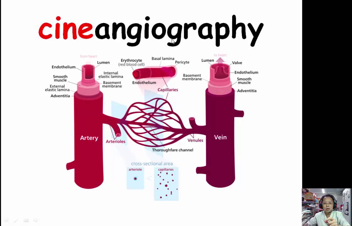 Lesson 25-1：Fast vs. Slow - YouTube