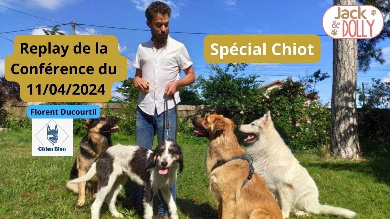 Replay de la conférence Spécial Chiot - YouTube