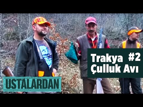Trakya Çulluk Avı 2 Ustalardan Yaban Tv Woodcock Hunting