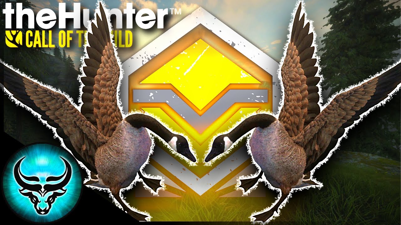 FINALLY a Diamond Goose! And Then a 2nd One Right After! Call of the ...