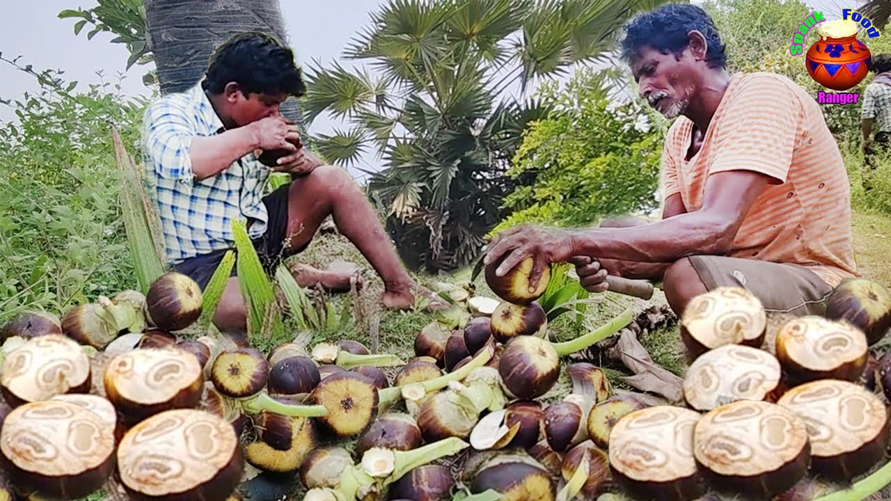 Natural toddy palm fruit | Palm fruit cutting & Eating | Ice apple ...