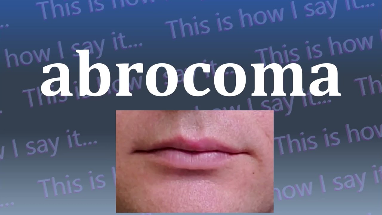 This is How I Say...abrocoma - YouTube