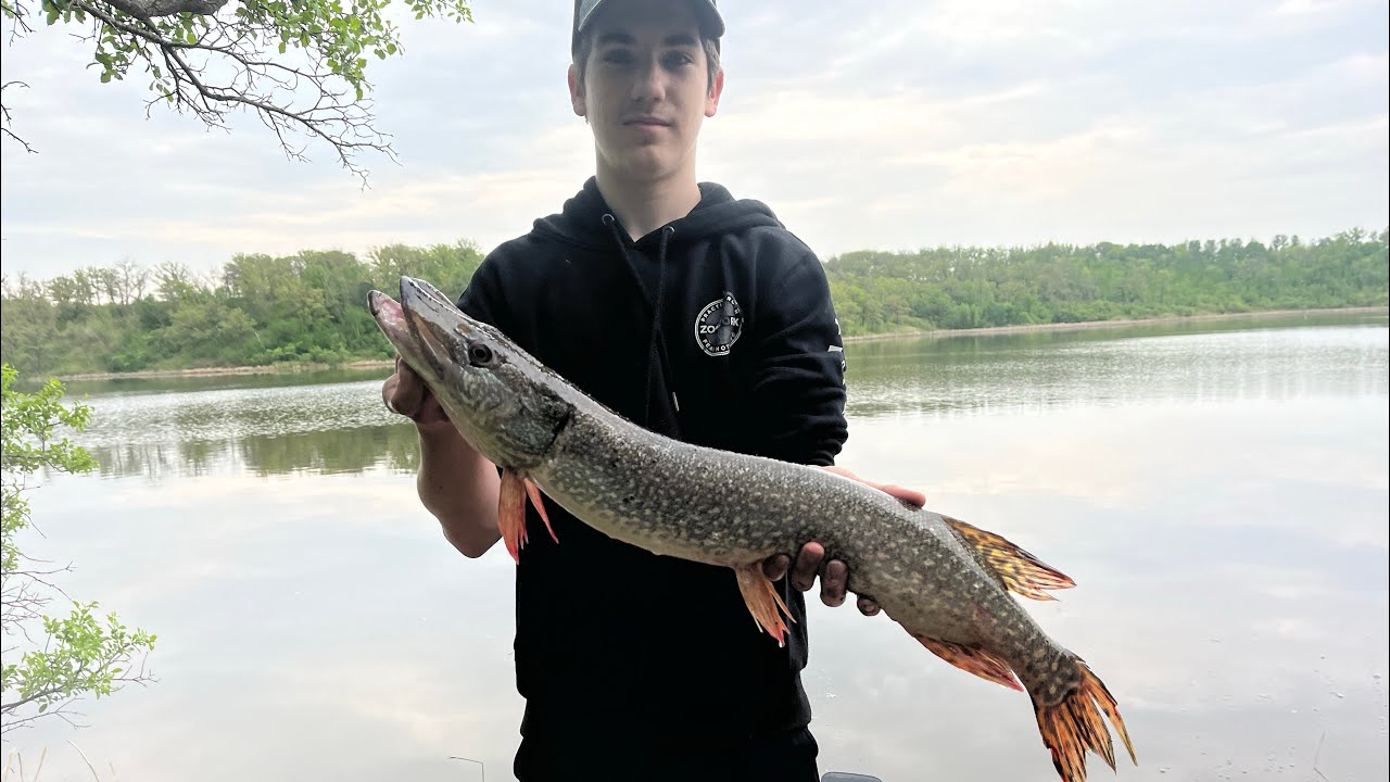 pike fishing lake Minnewasta - YouTube