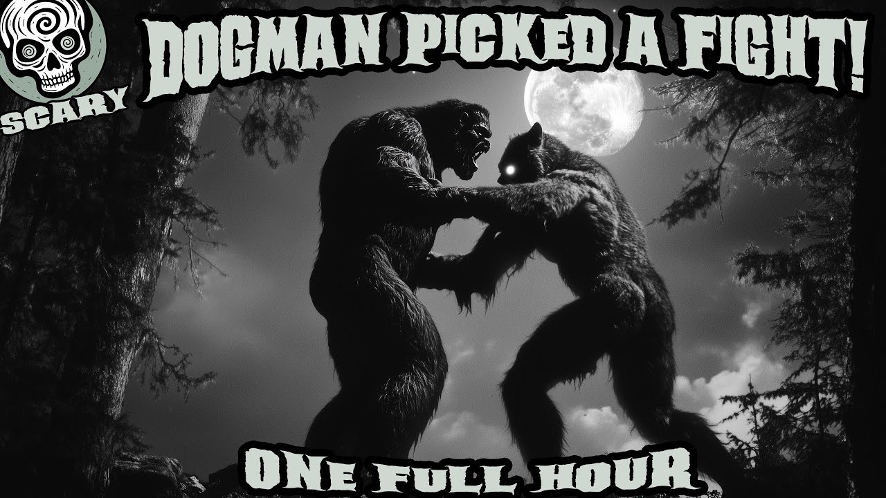 Dogman Picks a Fight: Vs. Bigfoot, Vs. Humans ONE FULL HOUR - YouTube