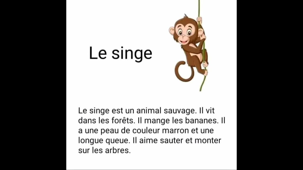 production écrite 🐵 Le singe 🐵 وصف حيوان القرد بالفرنسية - YouTube