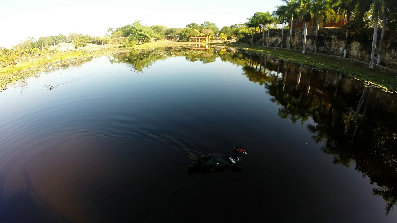 Acuaparque, Mérida Yucatán - YouTube