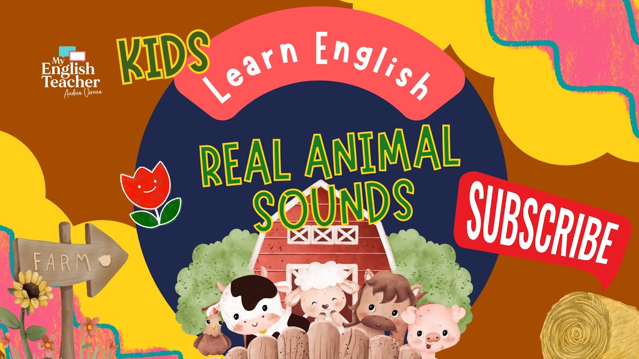 Real Animal Sounds for Kids - YouTube