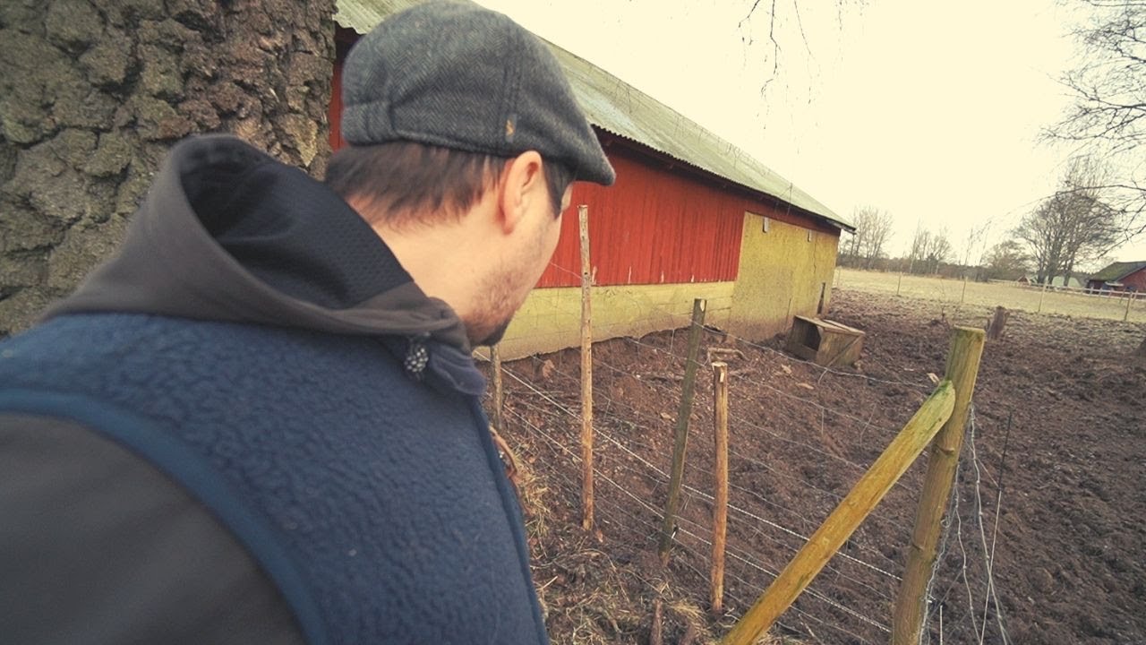 En kulting rymt. - YouTube