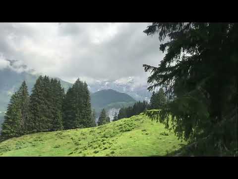 traveling in Switzerland, Sommer 2021, Mountains, countryside, Cities, Fly, Amazing Nature, 2021