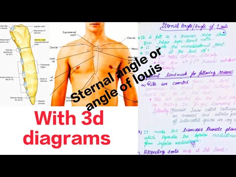 Sternal Angle || Angle of Louis simplified anatomy ☑️ || Medical Medics - YouTube