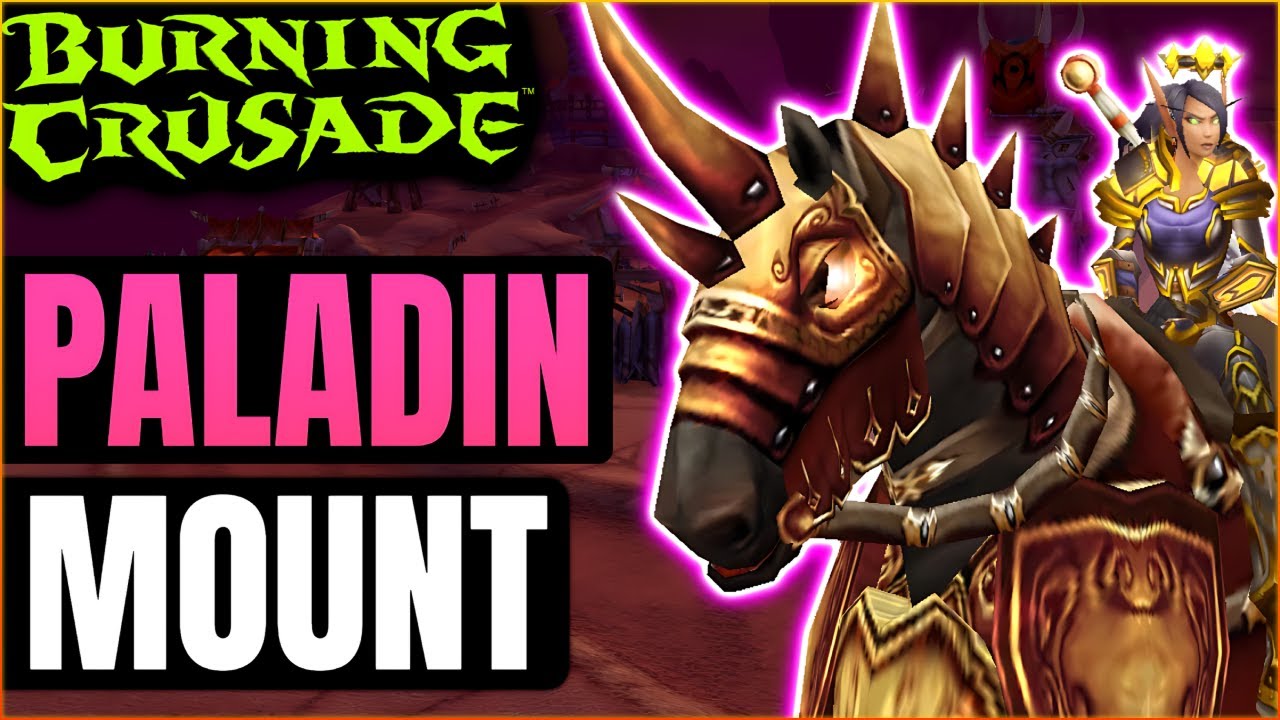 WoW TBC Blood Elf Paladin Epic Mount Guide I Thalassian Charger - YouTube
