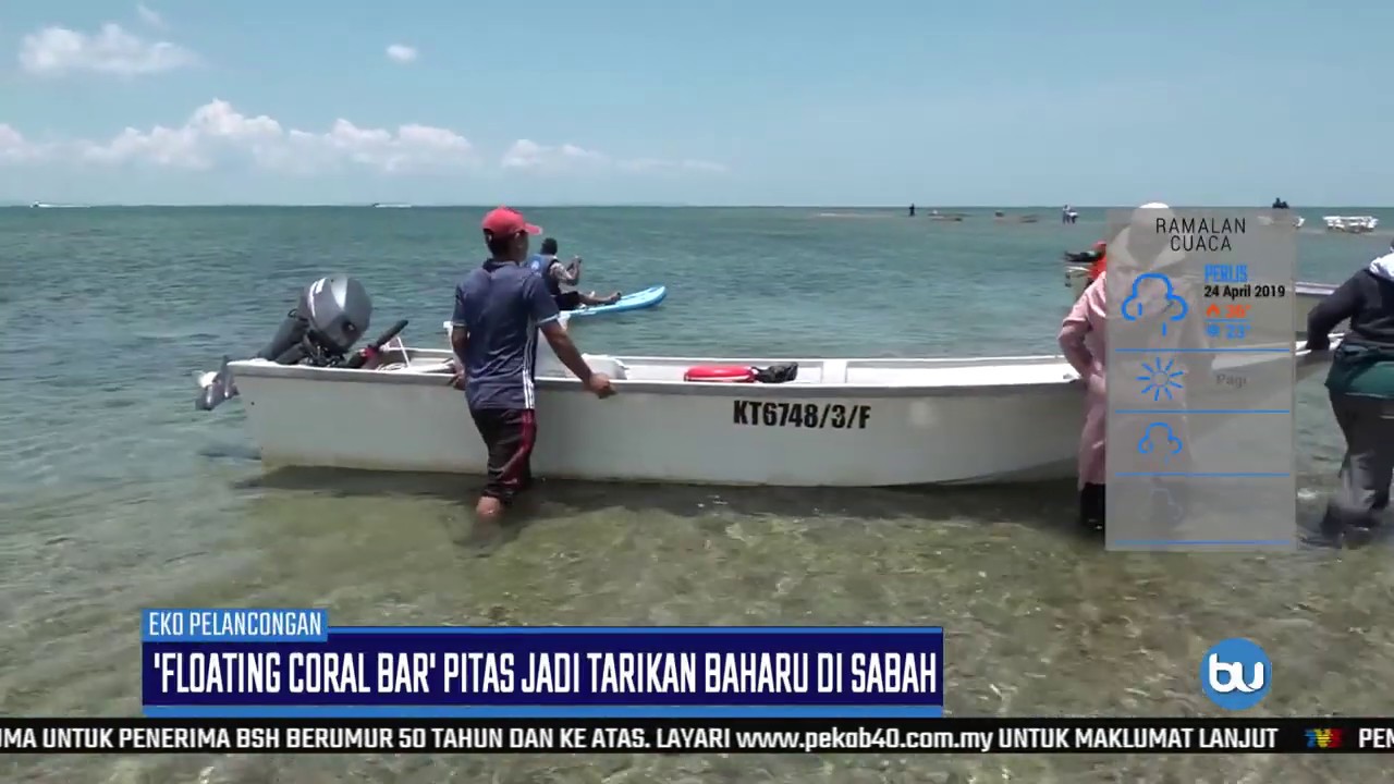 'Floating Coral Bar' Tarikan Baharu Di Sabah - YouTube