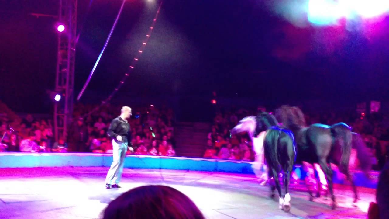 Oct 21, 2012 - YouTube