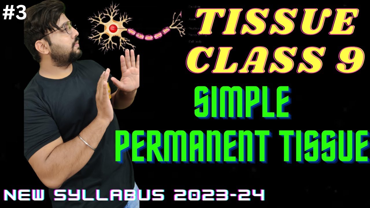 Tissue Class 9 | Part 3 | Chapter 6 NCERT | Simple Permanent Tissue ...