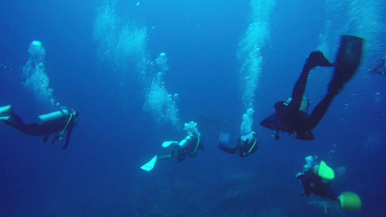 ดำน้ำโลซิน 2019 กับ scuba project - YouTube