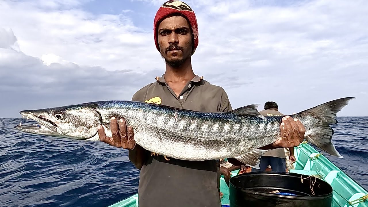 Catching Giant Barracuda Fish in the Deep Sea - YouTube