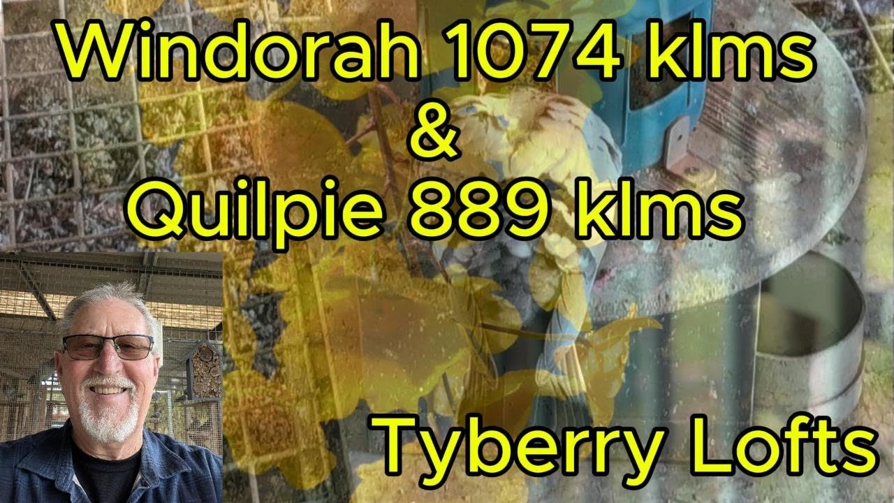 Windorah 1074 klms & Quilpie 889 klms - YouTube