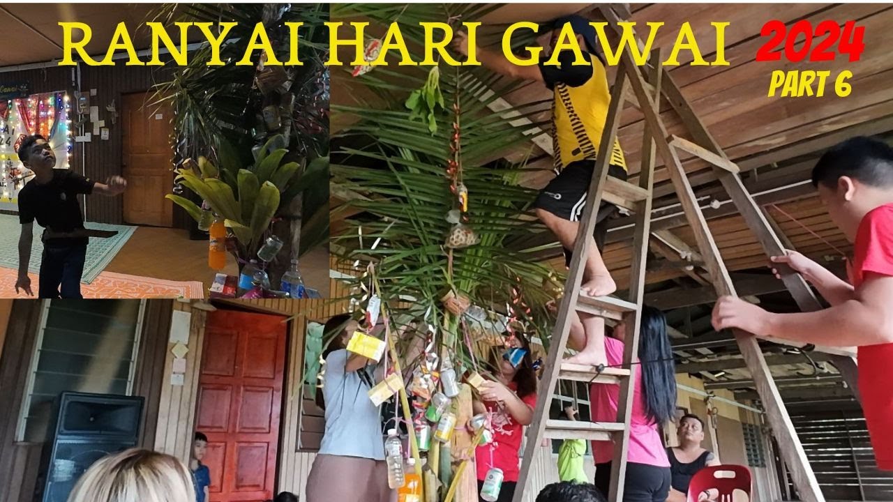 CARA NIRI & NGETAS RANYAI HARI GAWAI DAYAK 2024 // [Part 6) Emperan ...