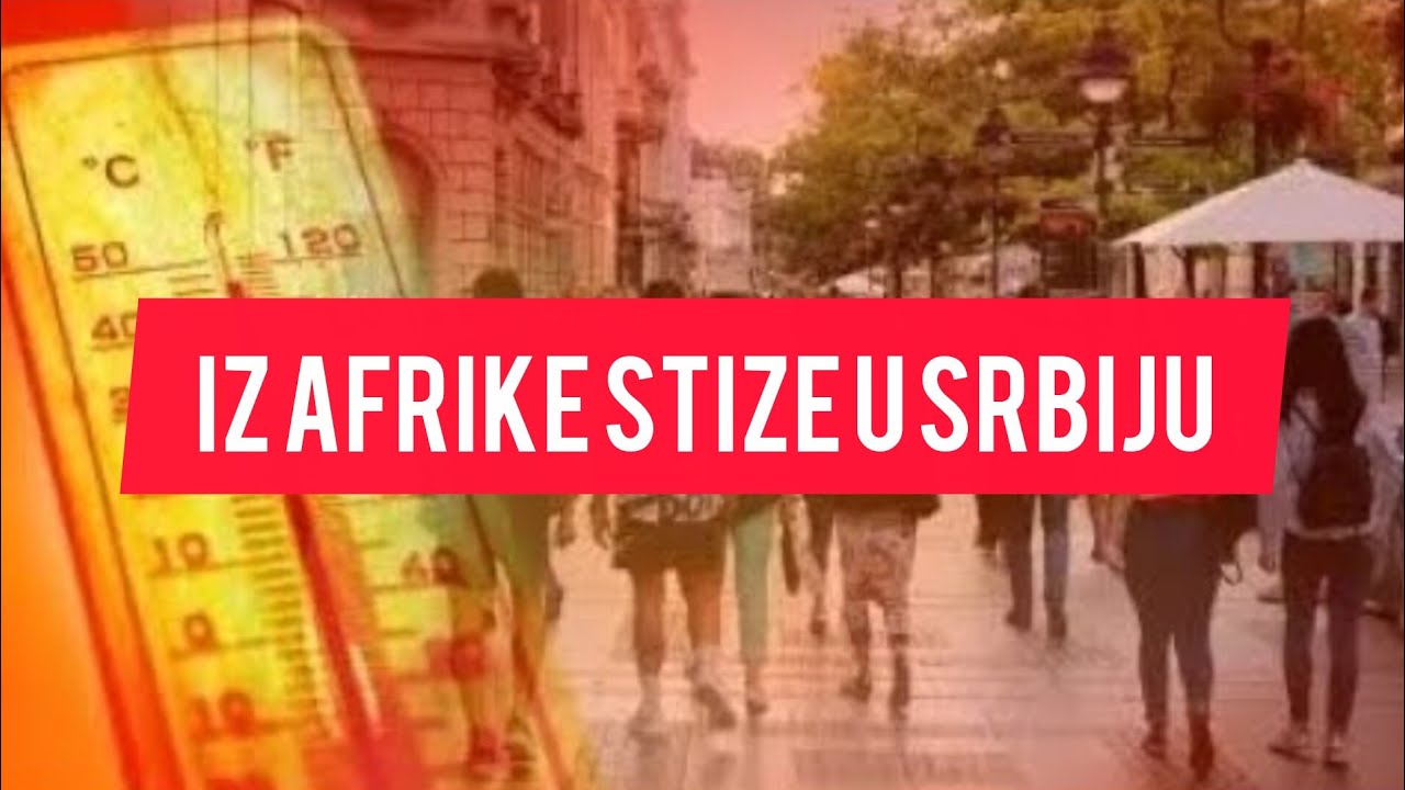 Iz AFRIKE stize u Srbiju! Spremite se - YouTube