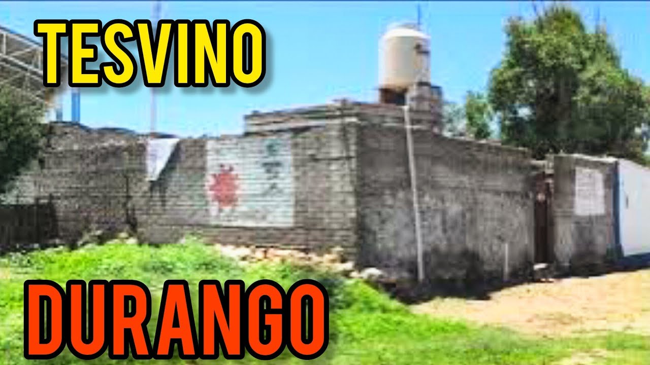 PUEBLITO TESVINO DURANGO MUNICIPIO DE SAN JUAN DEL RIO DGO , MEXICO ...