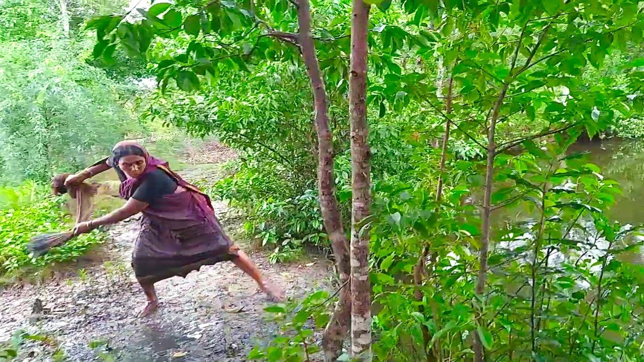 Net Fishing || Amazing Woman Catching Fish With A Cast Net.(Part:482 ...
