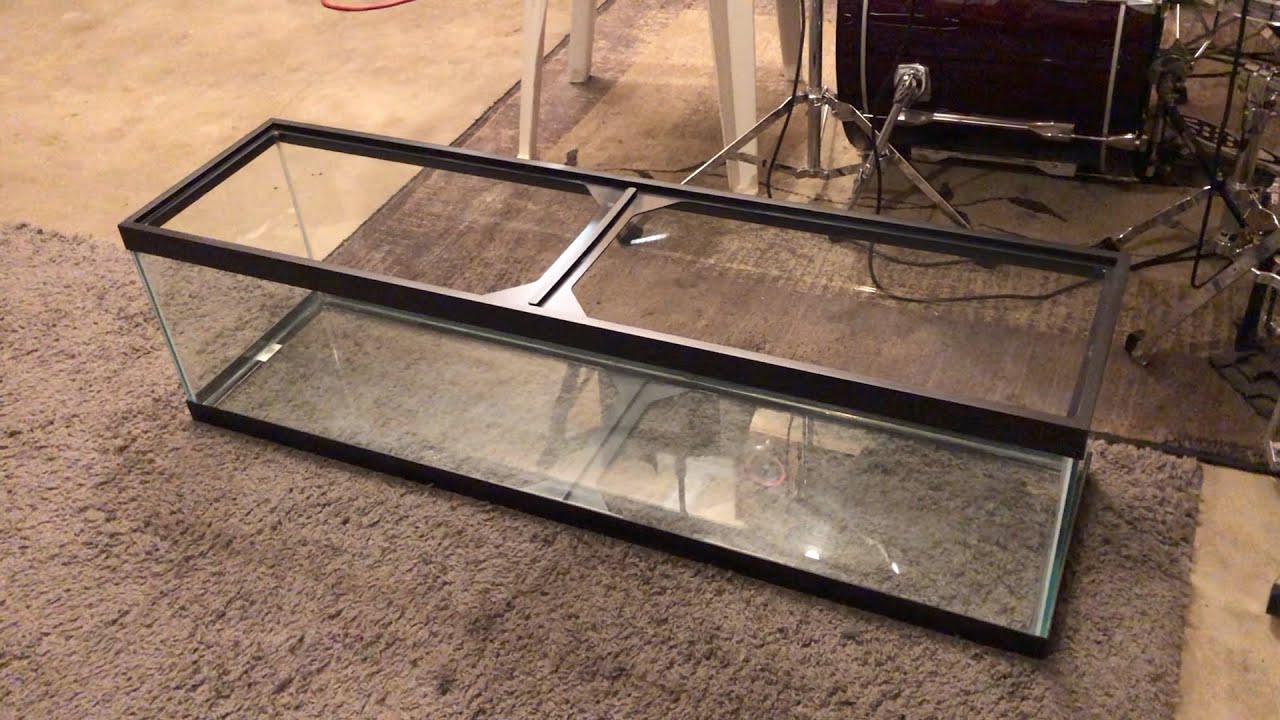 NEW TANK BUILD! 33 GALLON LONG! - YouTube