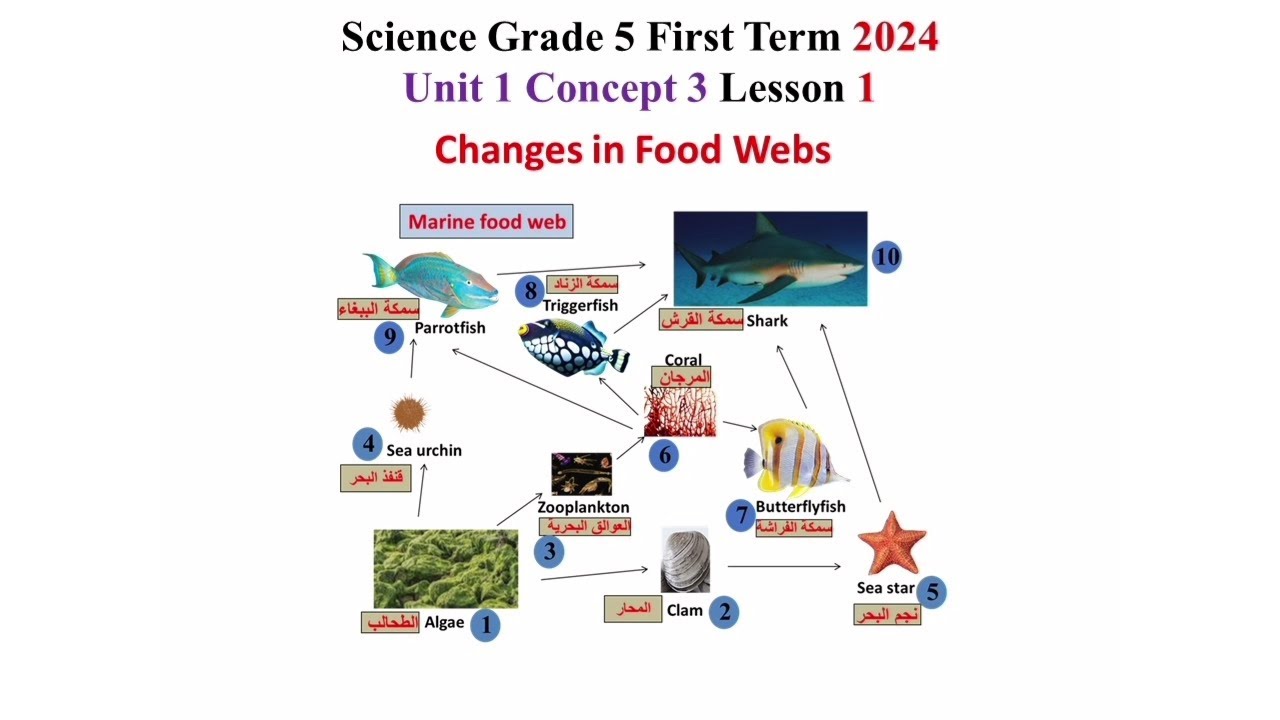 Science Grade 5 First Term 2024 Unit 1 Concept 3 Lesson 1 Changes in ...