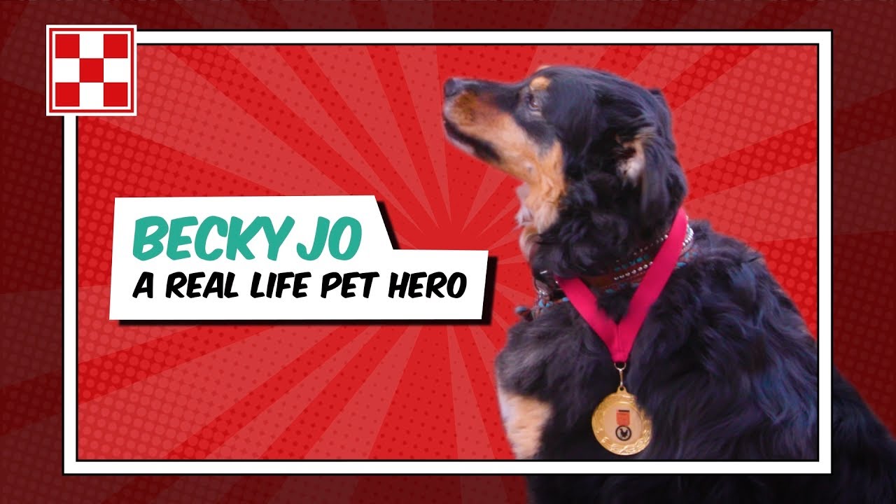 BECKY JO – Purina Animal Hall of Fame 2017 Inductee - YouTube